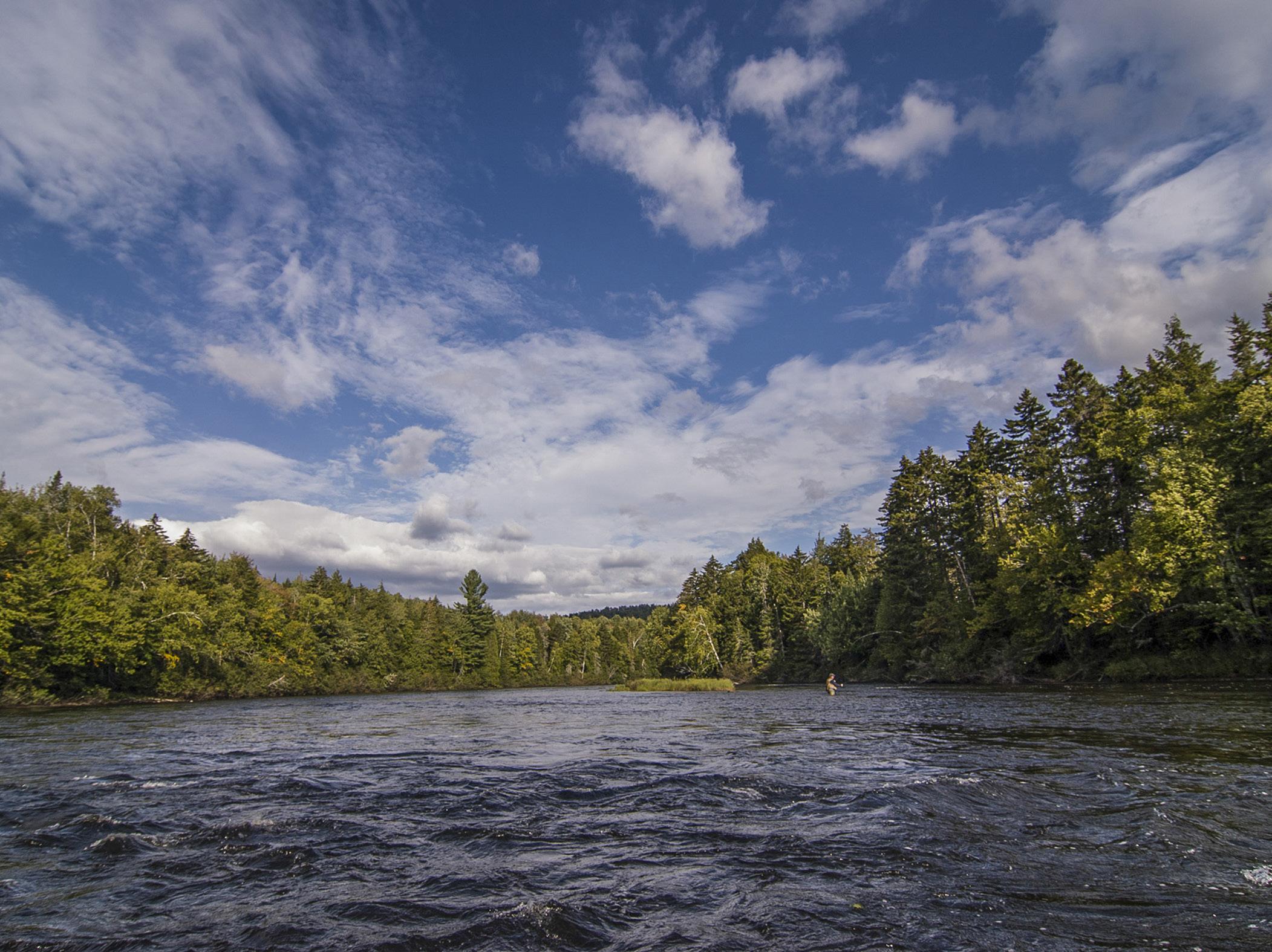 ALDER FLIES ON THE ANDROSCOGGIN RIVER - Issuu
