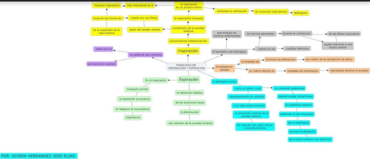 Mapa Conceptual De La Etimologia - hayes