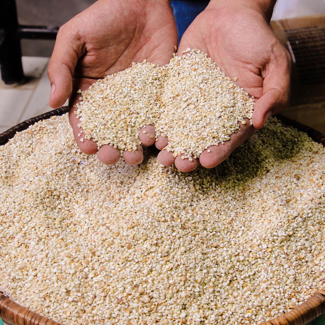 Utilize and Restore: The Future of Adlai in Mine-Affected Communities ...