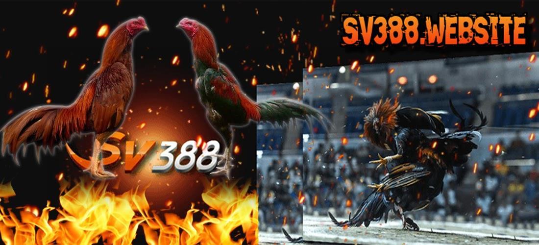 Sabung Ayam online Sv388 - Issuu