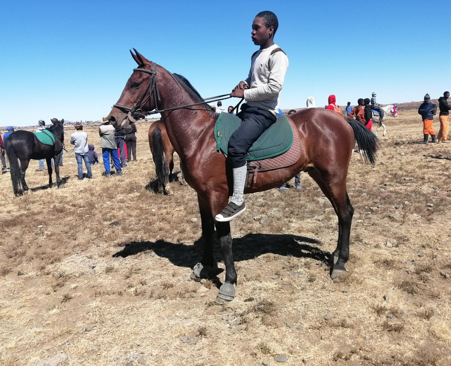 INDIGENOUS HORSE RIDING - Issuu