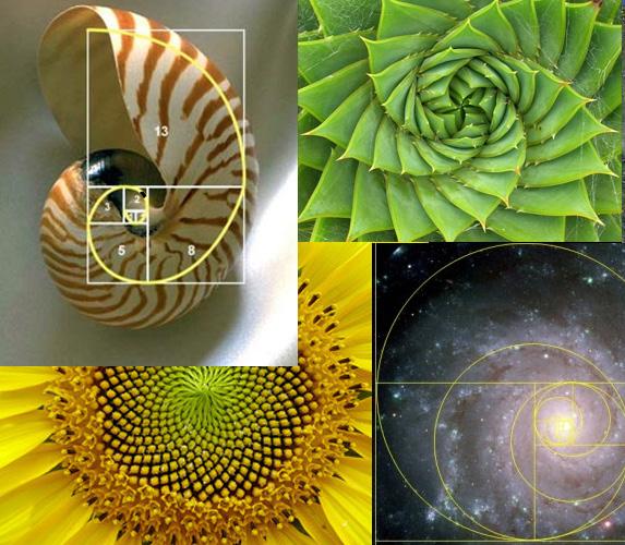 Geometría sagrada - Issuu