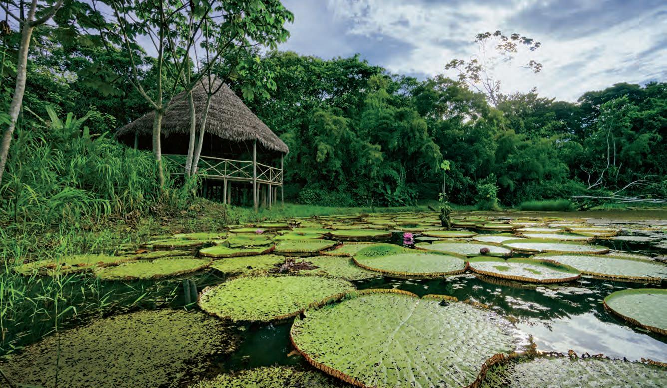 2021 2022 Private Expeditions National Geographic Expeditions By