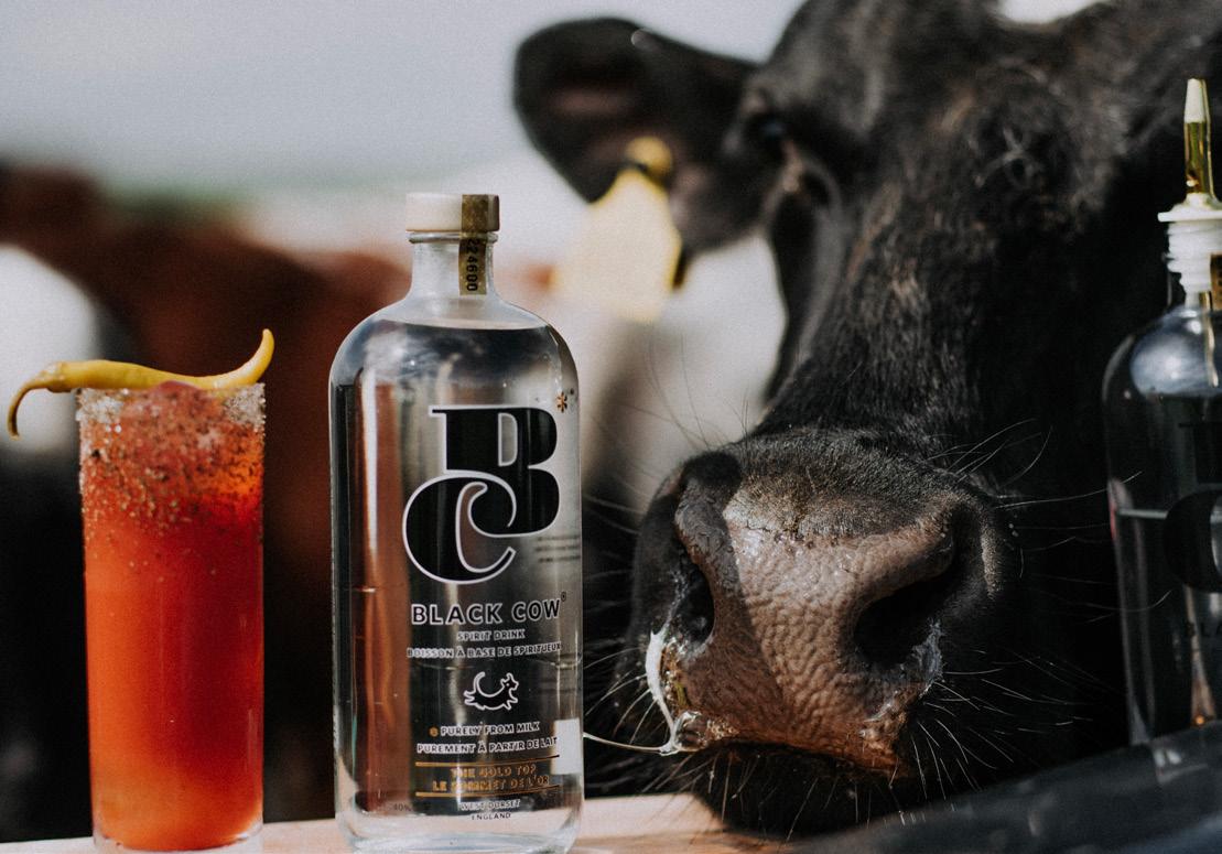 MEET THE MAKERS OF THE WORLDS FIRST PURE MILK VODKA - Issuu