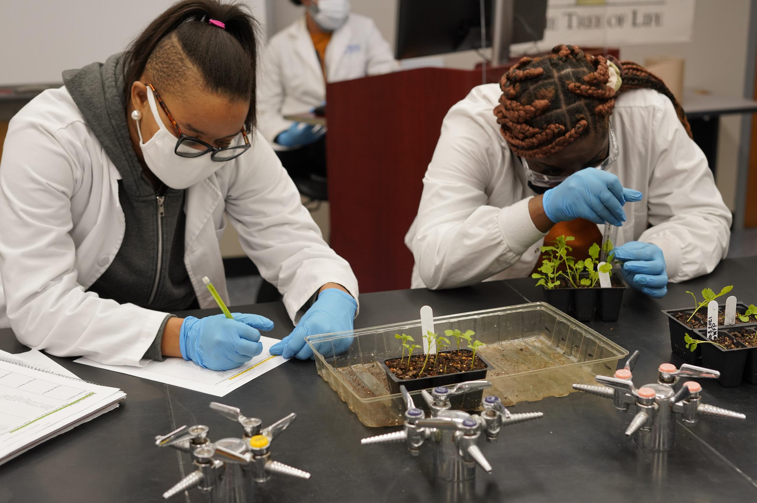 Botany + Molecular Biology: Targeted Infusion Project - Issuu