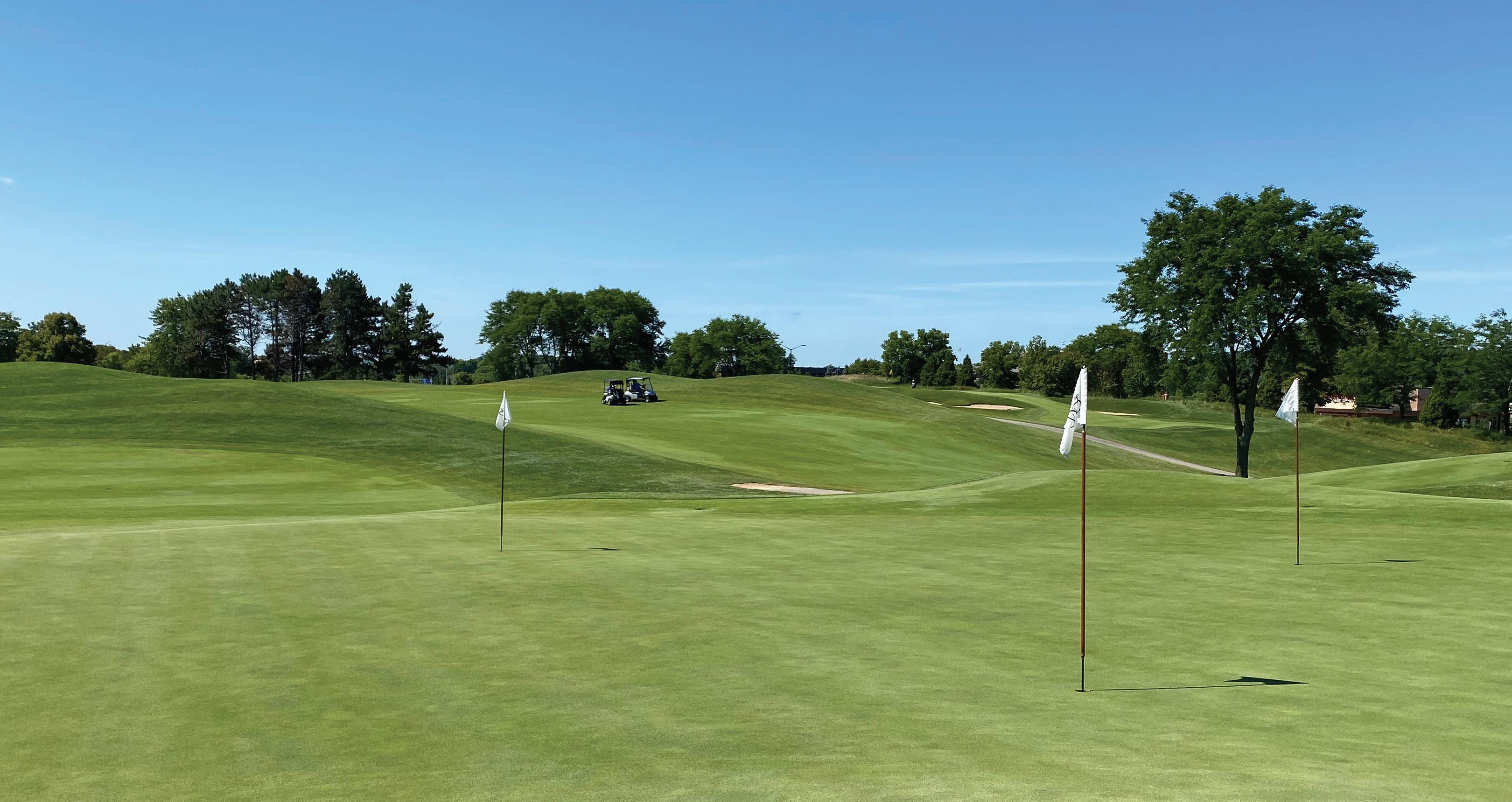 Wisconsin Golf Industry Best Management Practices Guide by Radius ...