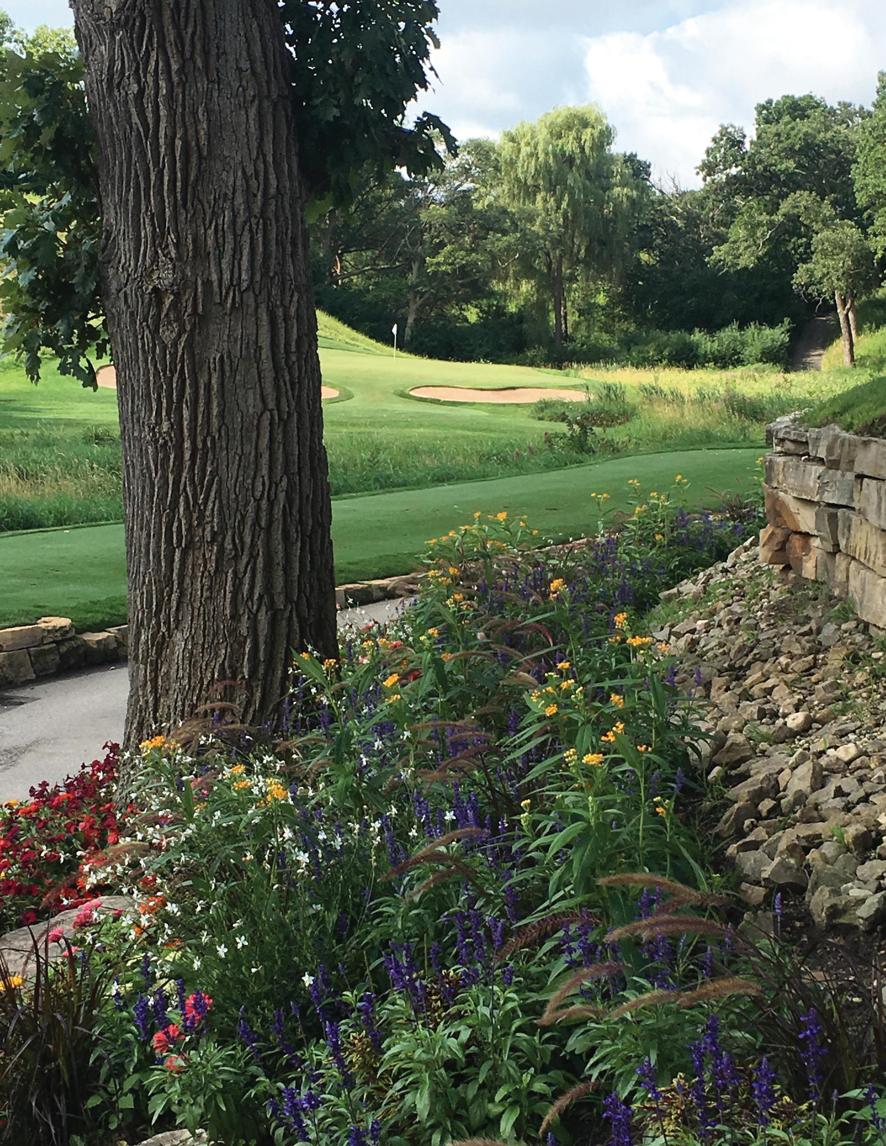 Wisconsin Golf Industry Best Management Practices Guide by Radius ...
