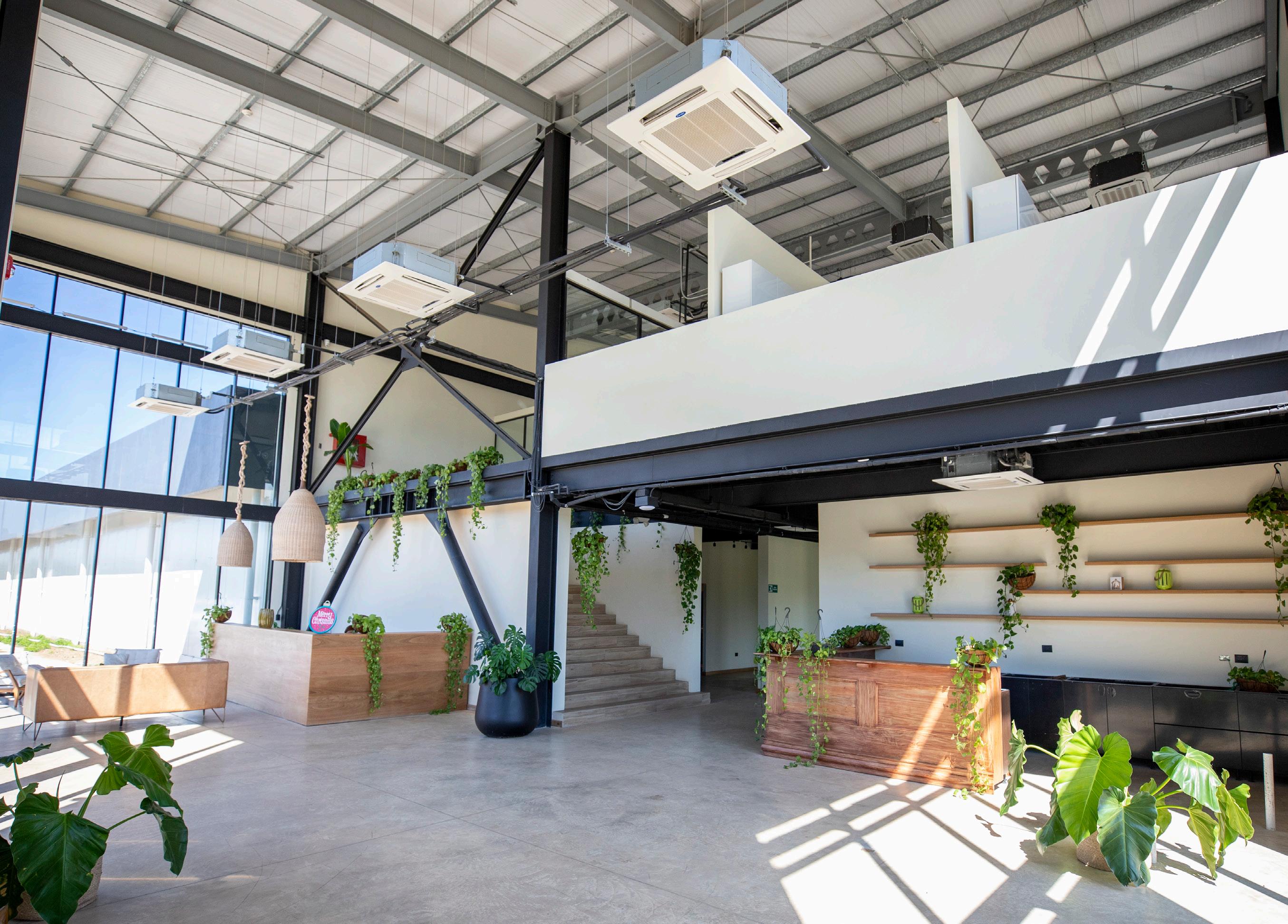 Acero ESTRELLA : Informe de Gestión Anual: Una gestión enfocada en la ...