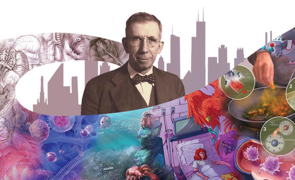 100 years of biomedical visualization - Issuu