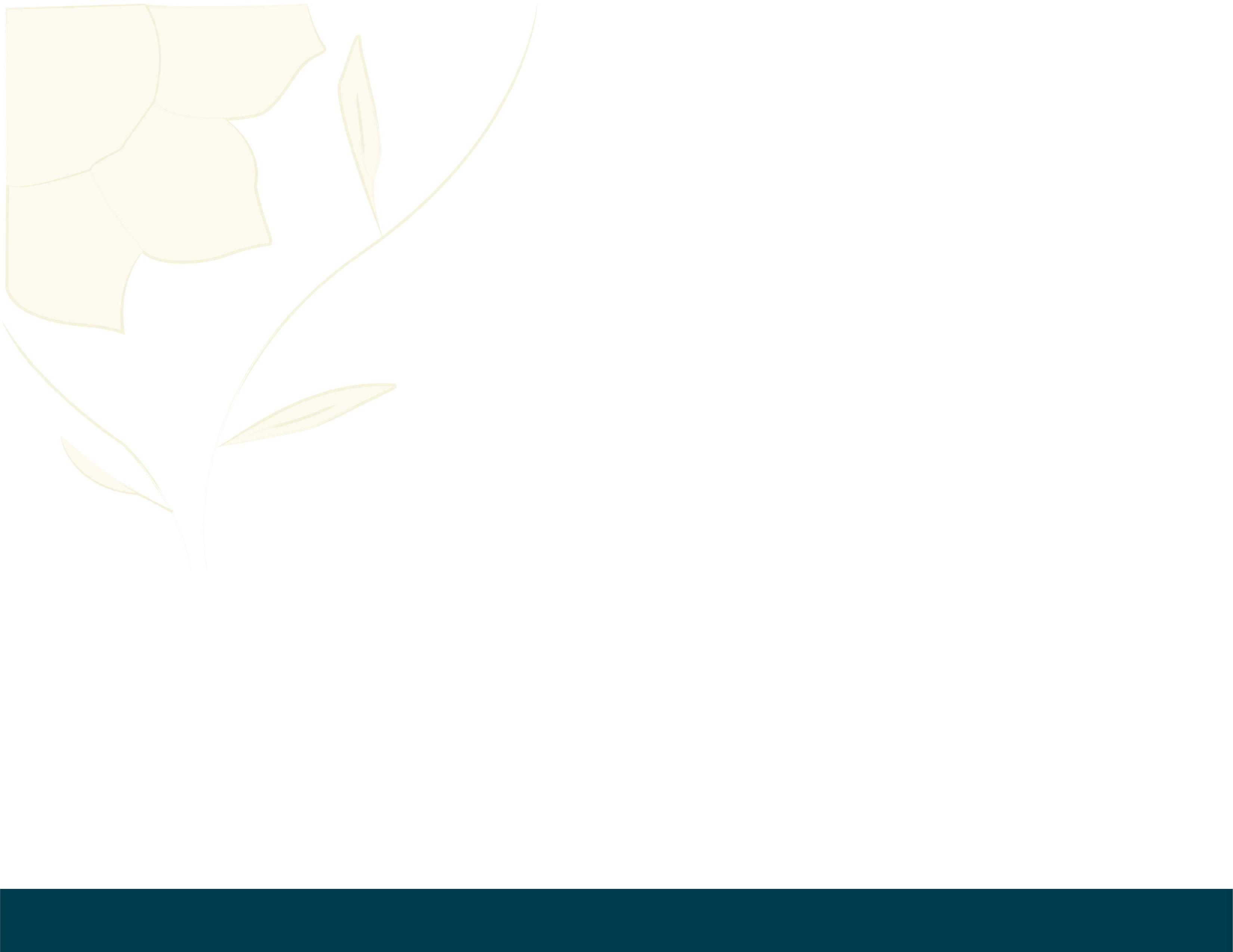 Versiones de marca - Issuu