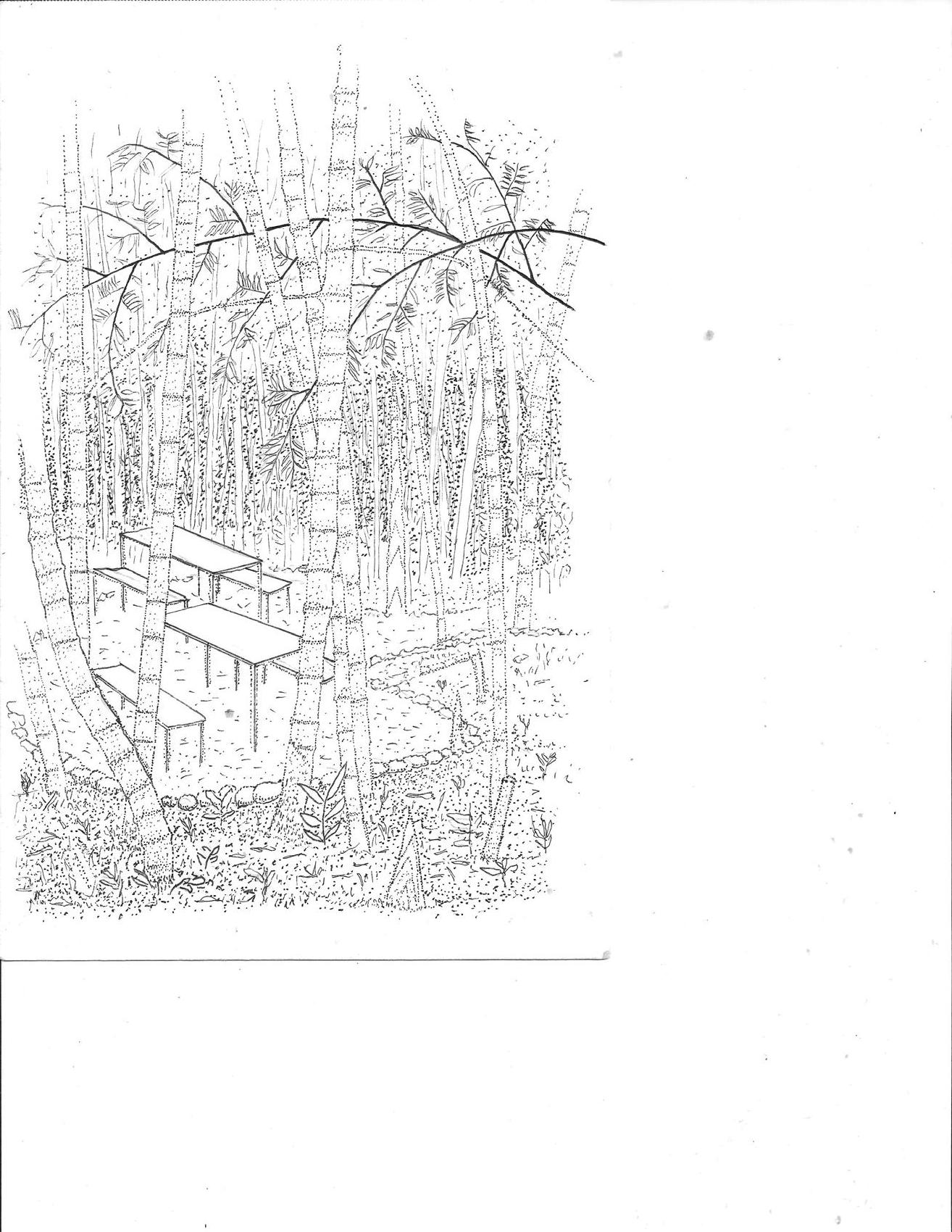 Drawing Complexity - Issuu