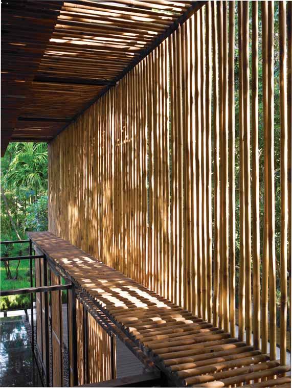 Bamboo Glass Panels