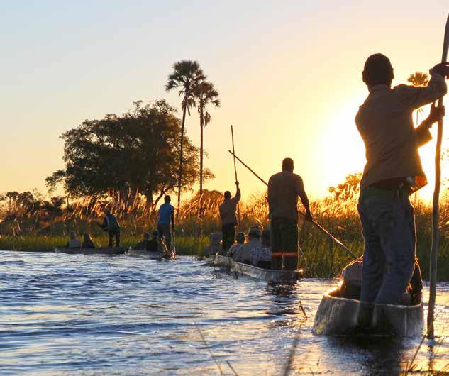 Ruta Okavango / Senda de los Elefantes (Camiones - Issuu