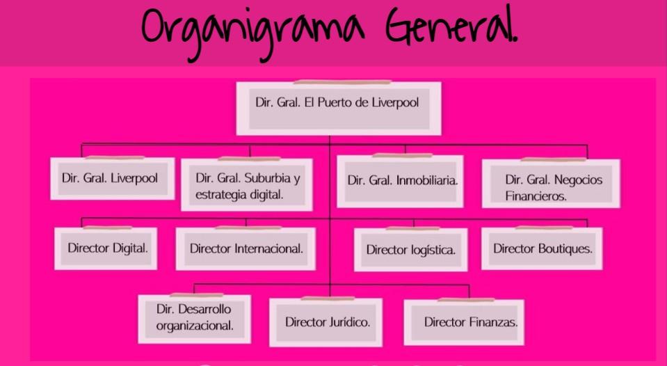 Estructura Organizacional Issuu