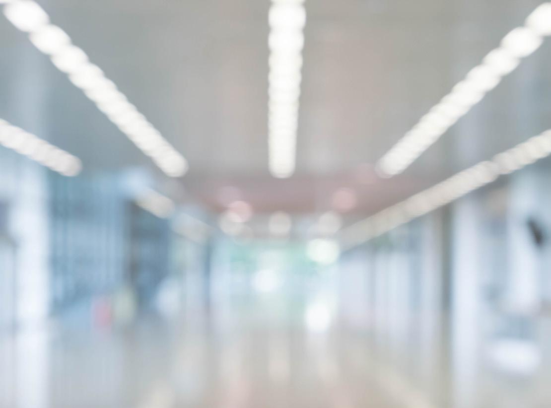 Judicial Profile - Judge Kate Stone - Issuu