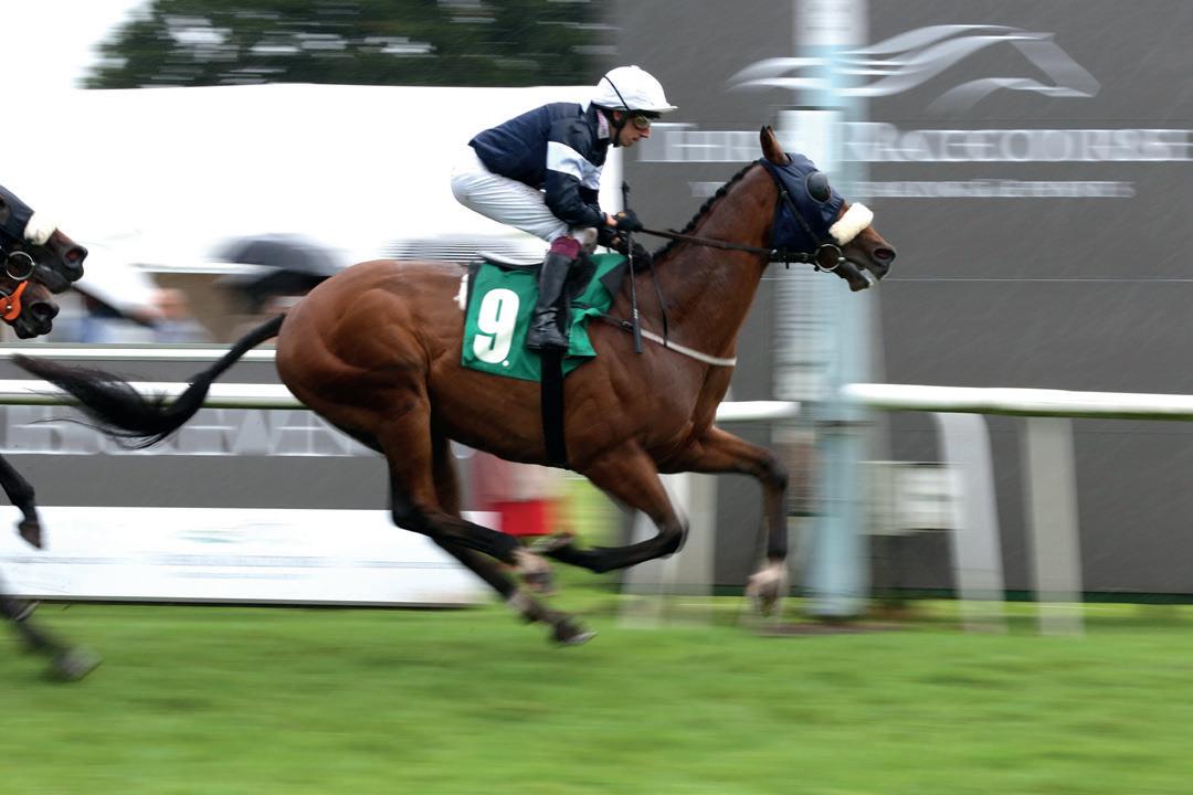 Thomas Lord Drive, Thirsk by V&A Homes - Issuu