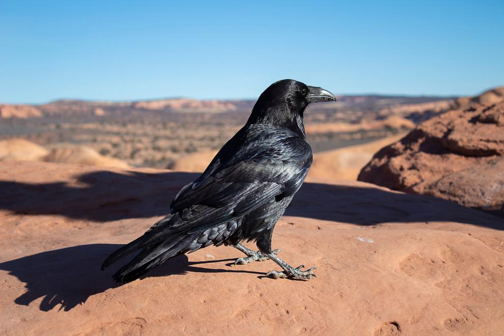 "Arches National Park Moab, Utah II" Natalia Gutierrez "Job" Gerrit ...