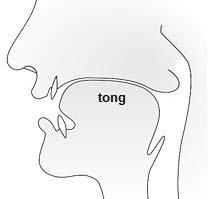 Aktiwiteit 5: Lettergrepe en klankgrepe - Issuu