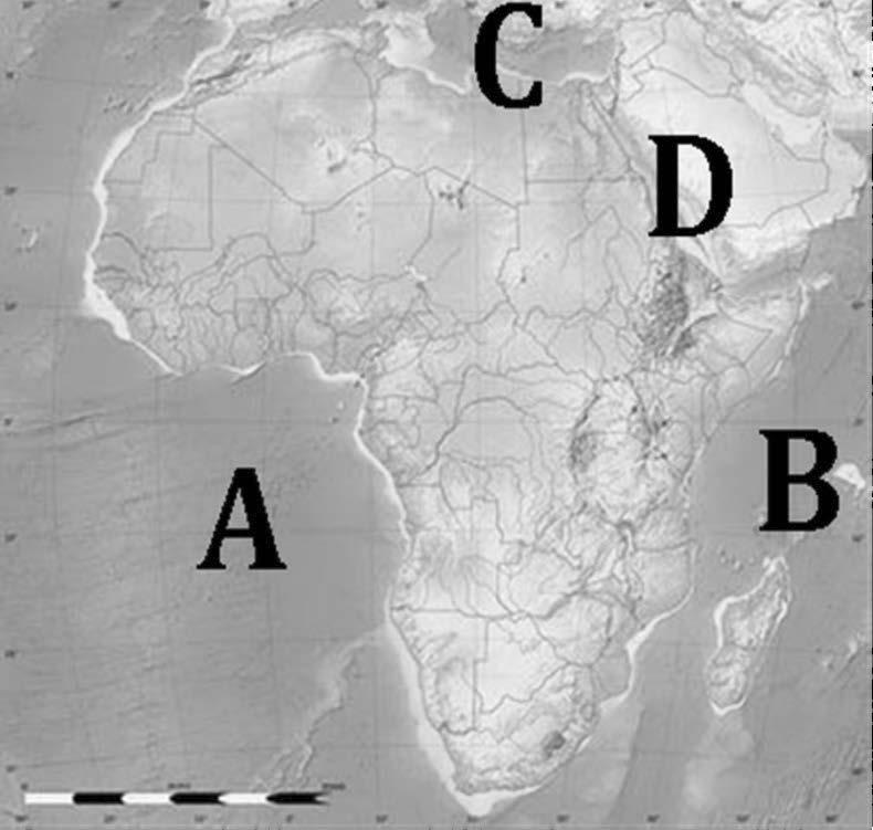 Les 6: Oseane rondom Afrika - Issuu