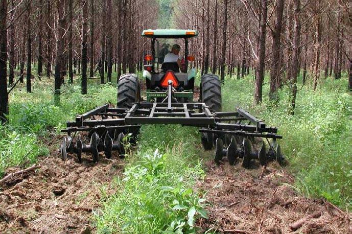 Fire belt preparation methods - by Tiaan Pool - Issuu