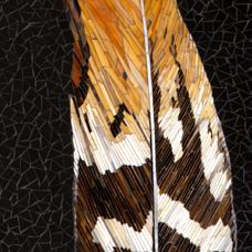 Broad Street Collection by New Ravenna - Issuu