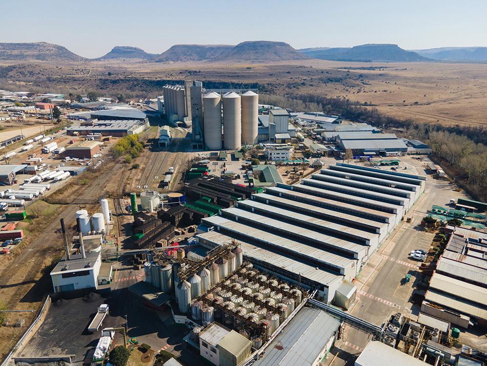 Maluti Mountain Brewery - Issuu