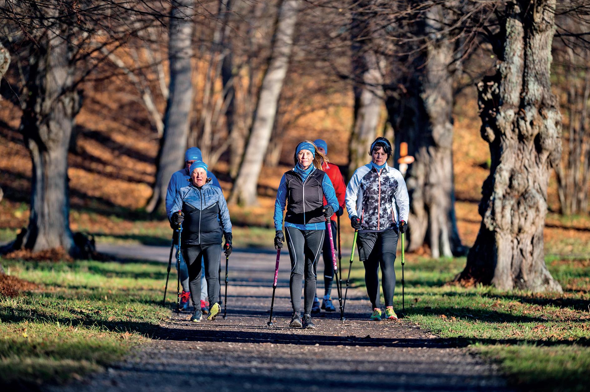 NYTT från PRO: Kolla in det nya intranätet! - Issuu
