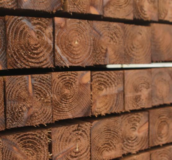 Timber Trader UK Magazine Issue 18 Autumn 2022 by Timber Media Limited ...