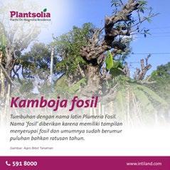 Graphic Design Portofolio by A_19_Muhamad Ilham - Issuu