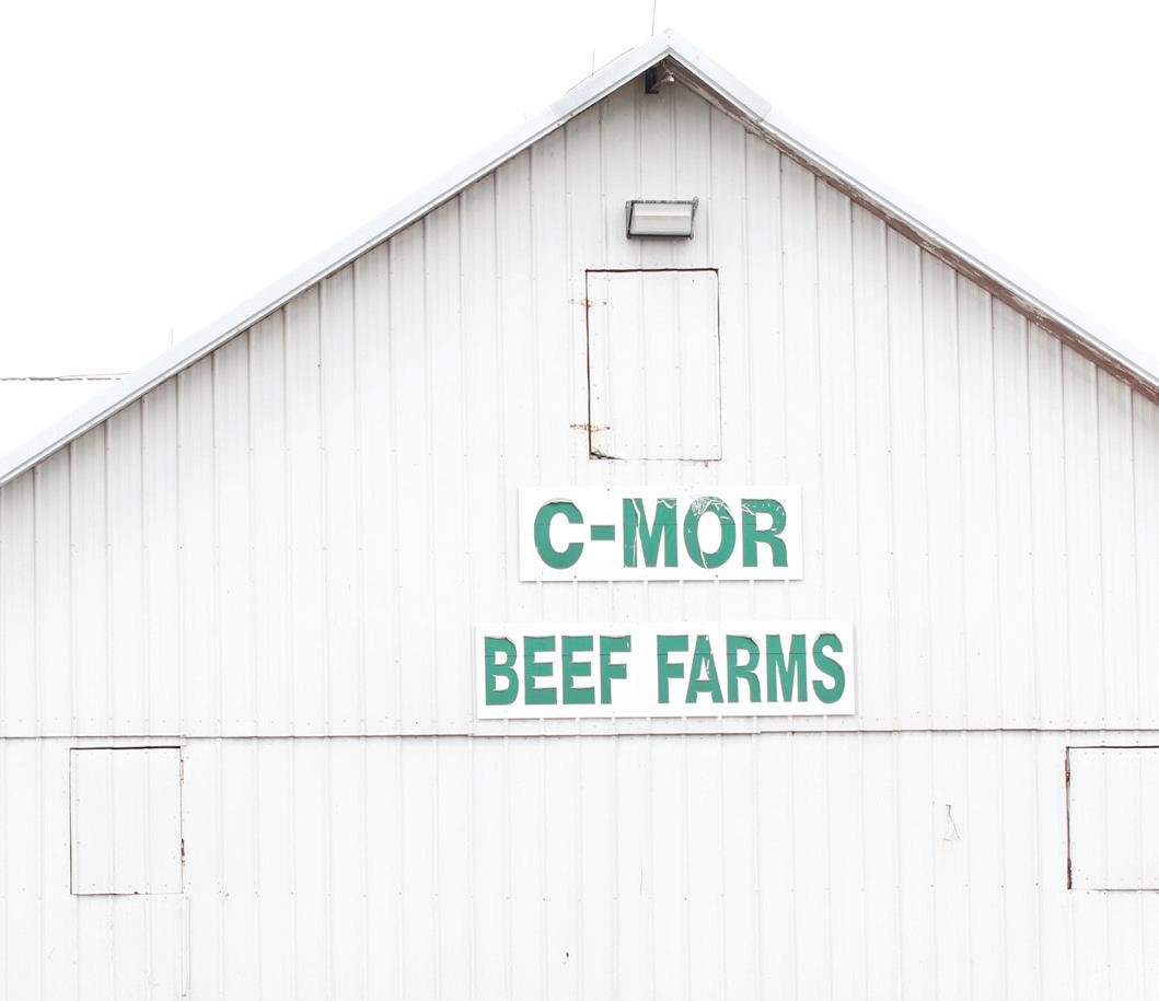 Illinois Beef Magazine Sept/Oct 2022 by Illinois Beef/Illinois Angus ...