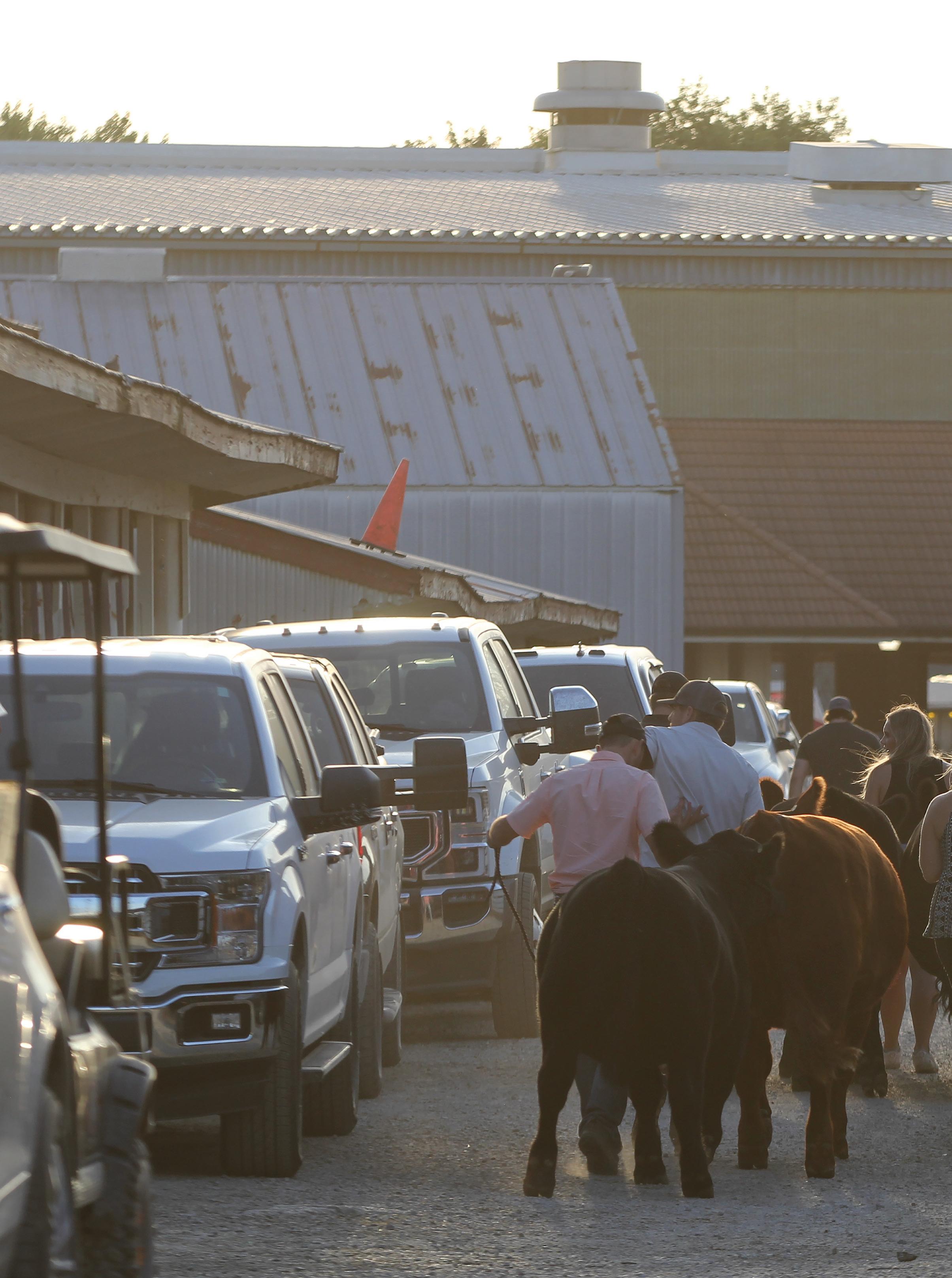 Illinois Beef Magazine Sept/Oct 2022 by Illinois Beef/Illinois Angus ...