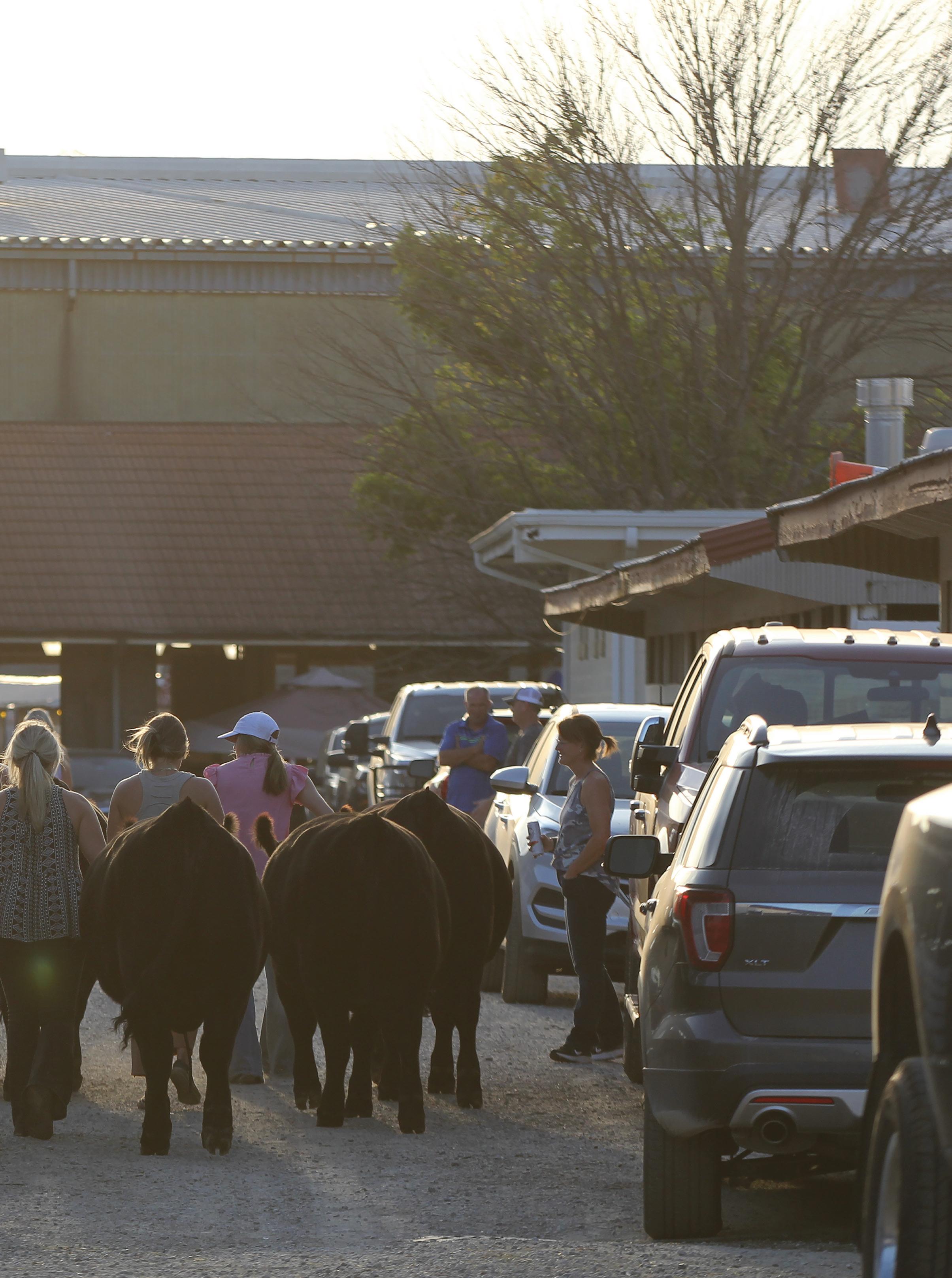 Illinois Beef Magazine Sept/Oct 2022 by Illinois Beef/Illinois Angus ...