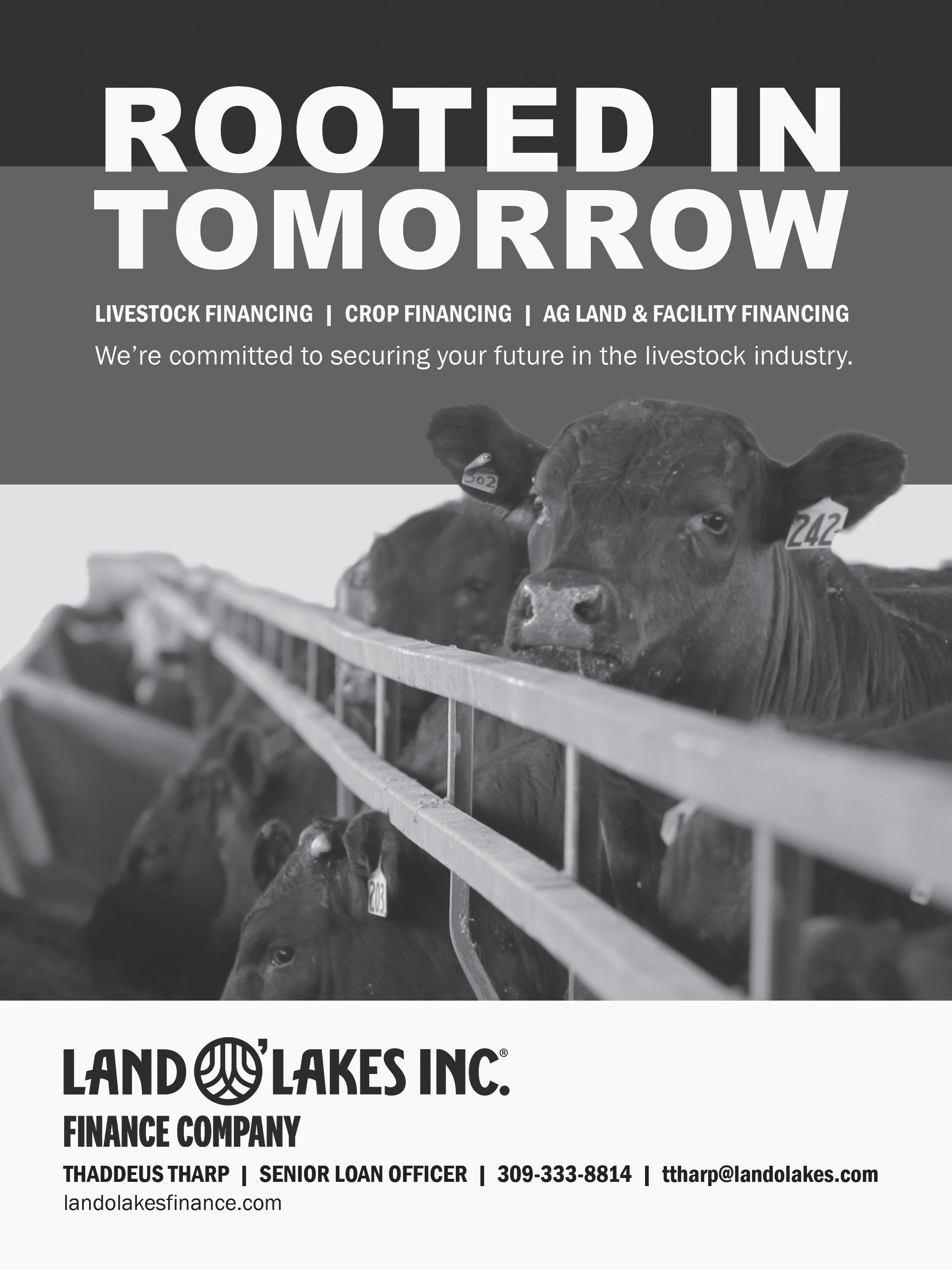 Illinois Beef Magazine Sept/Oct 2022 by Illinois Beef/Illinois Angus ...