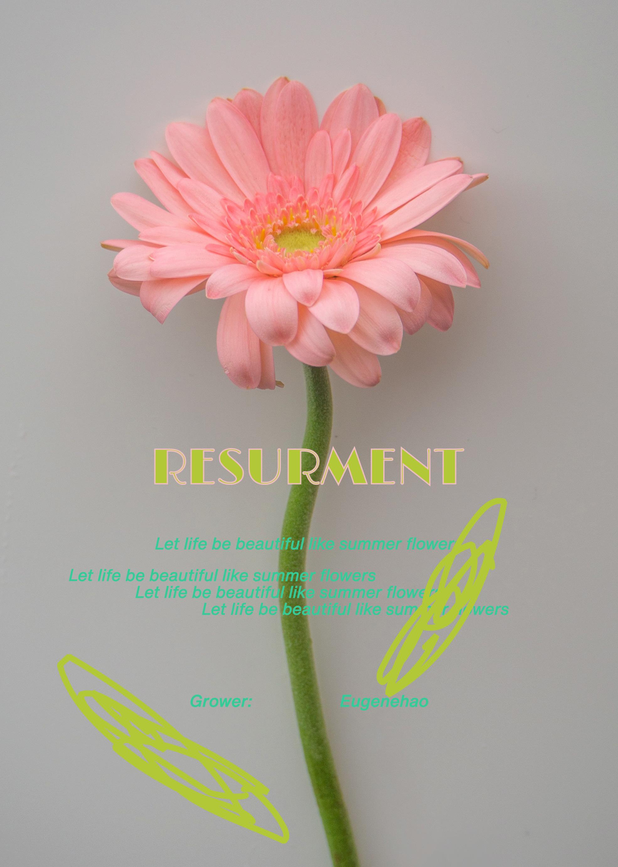 RESURMENT (Instagram Story Highlights) by Eugenehao - Issuu