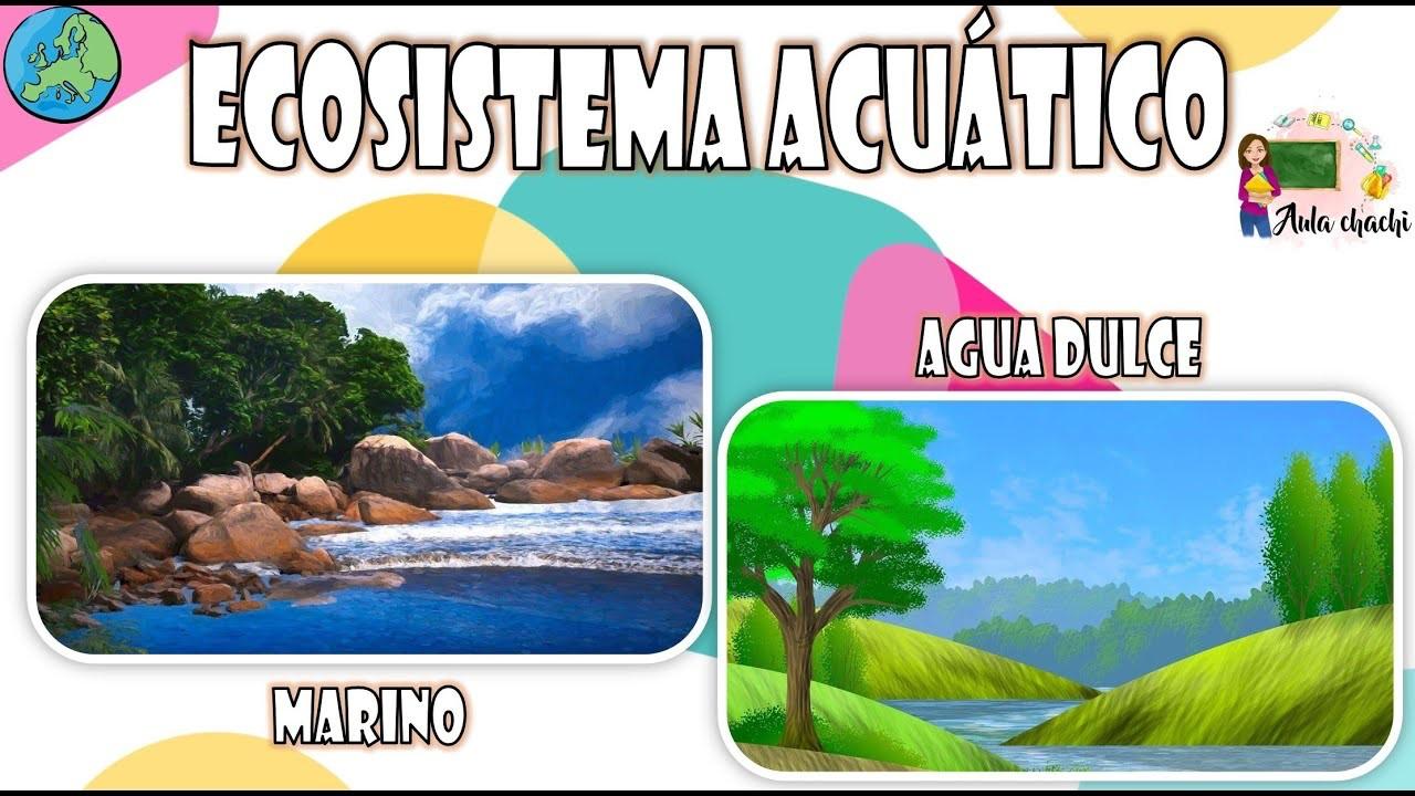 Ecosistemas Acuaticos Interacciones Entre Bentos Y Organismos En