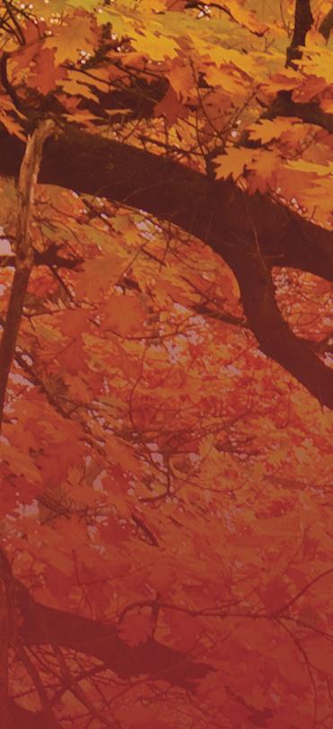 Clifton Merchant Magazine - October 2022 by Clifton Merchant Magazine ...