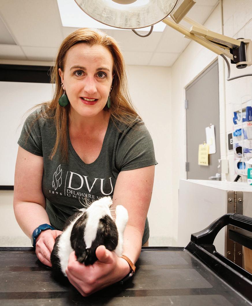 DelVal: Small University. Big Experience. by Delaware Valley University - Issuu