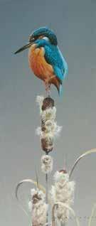 Bradford Gallery by Adrian Thompson-Boyce - Issuu