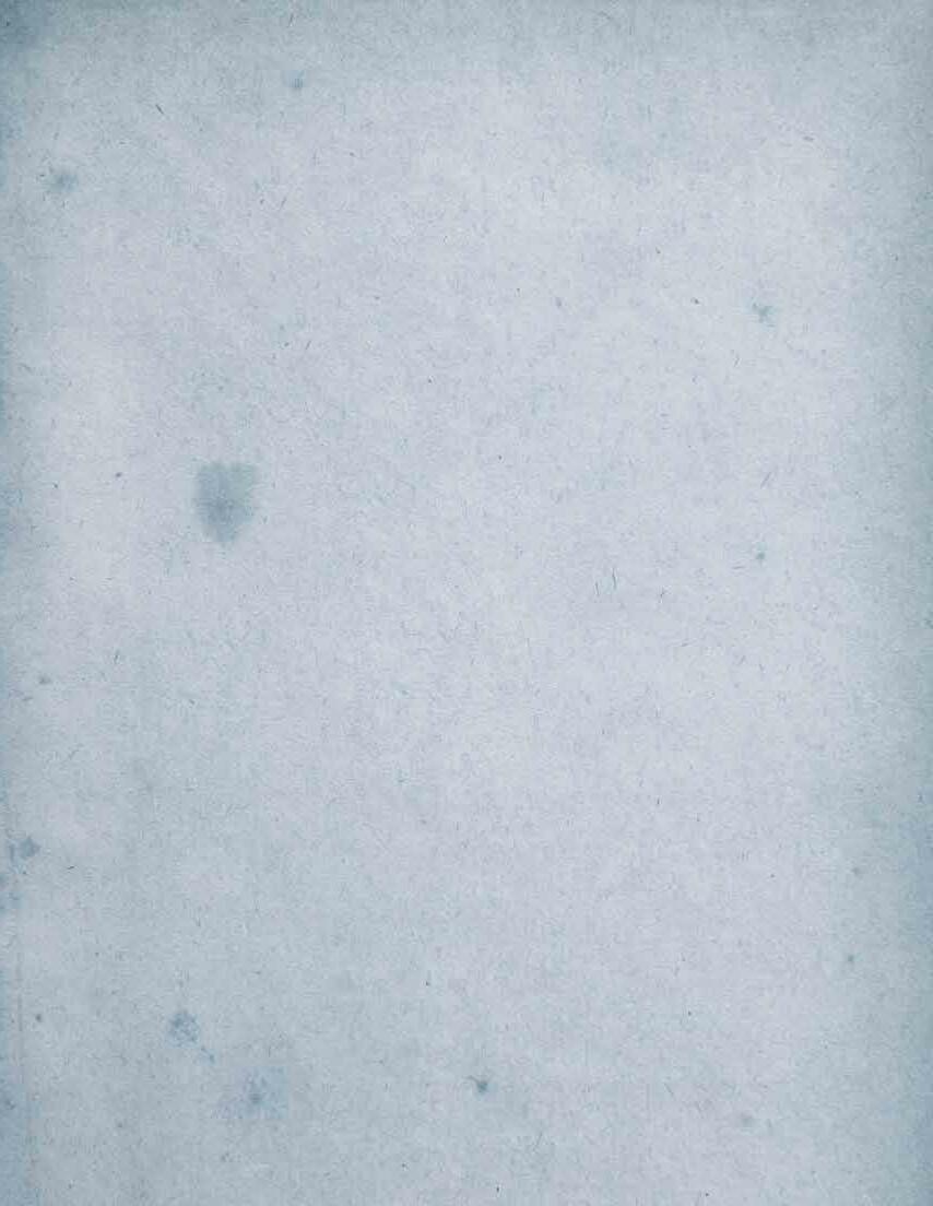 DWS Digital Portfolio 2023 by debbie swisher - Issuu