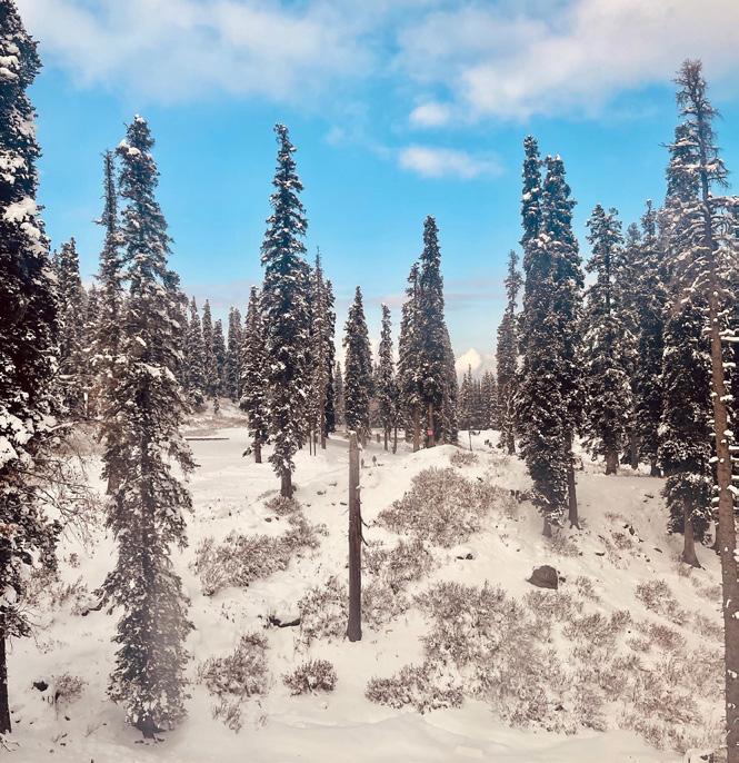 HITIKA'S EXHIBITION by Hitika Gupta - Issuu