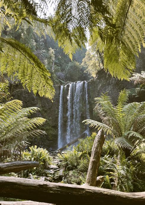 HITIKA'S EXHIBITION by Hitika Gupta - Issuu