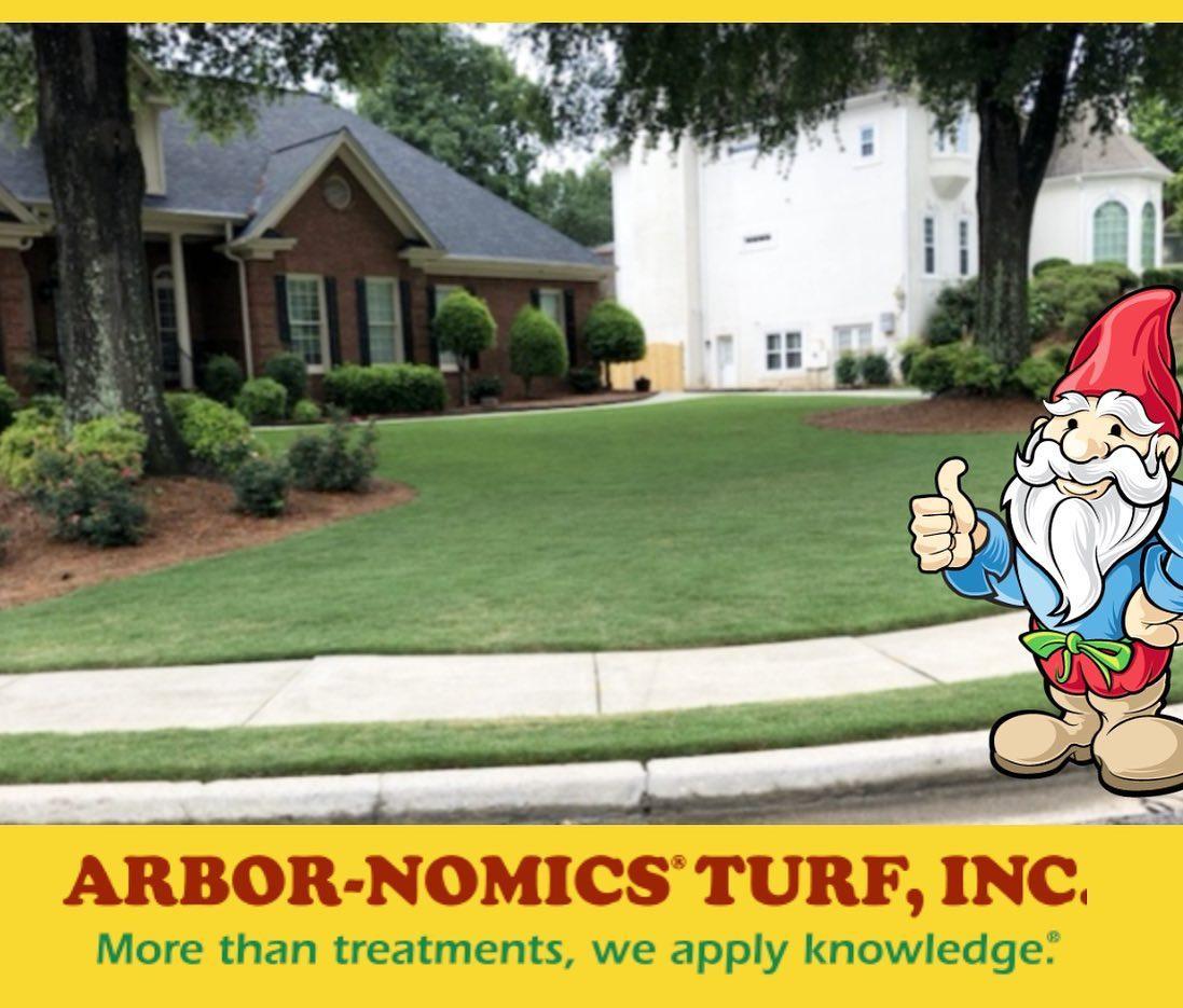 How To Identify And Treat Gall On Azaleas By Arbor Nomics Turf Issuu