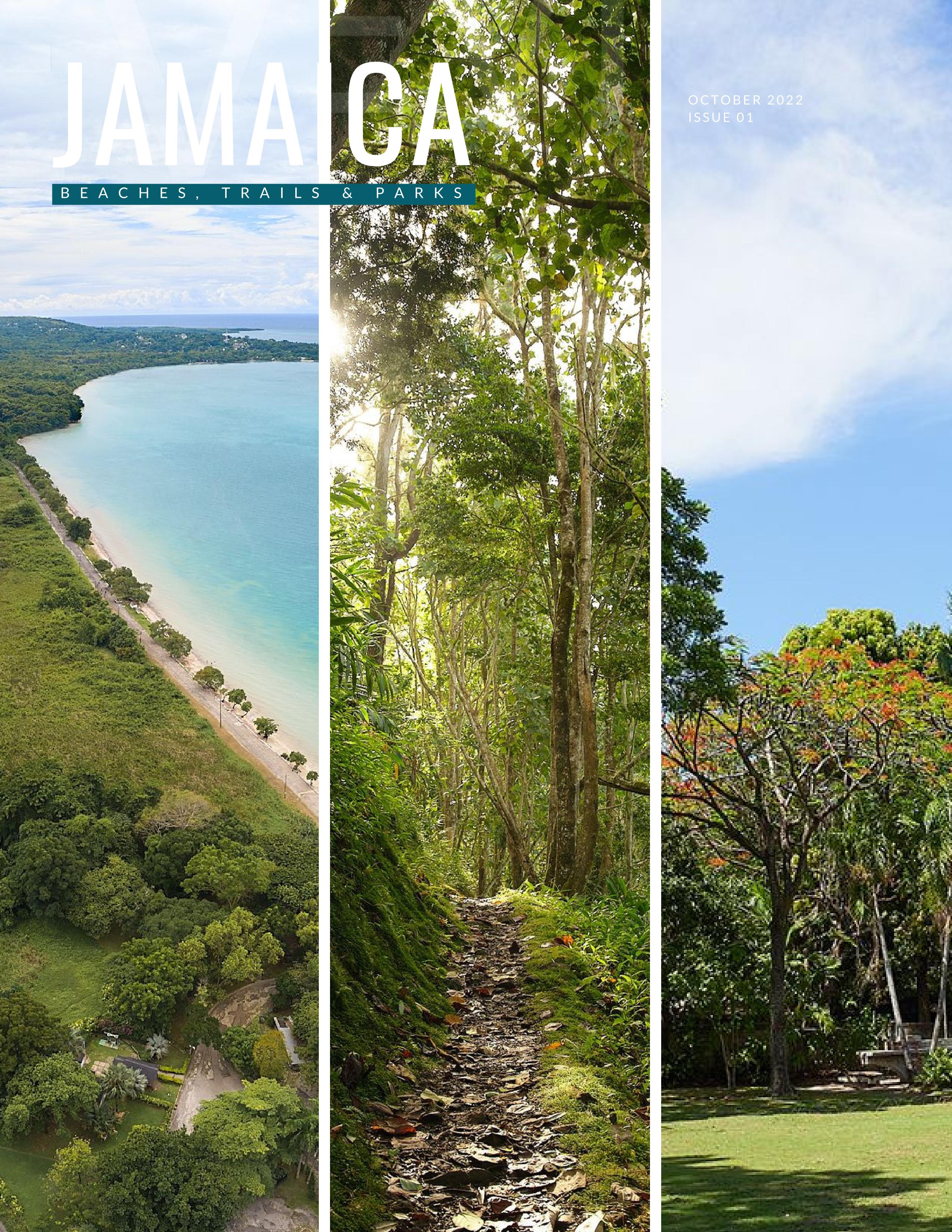 TEF Guidebook update October 11 by Straight From Yard - Issuu