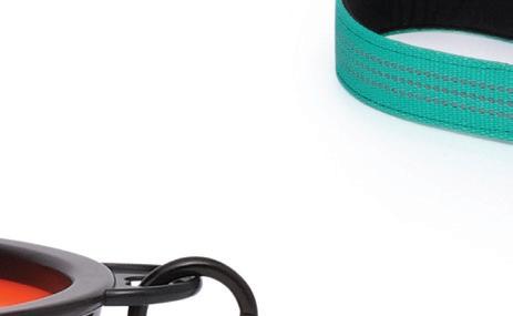 Dogalogue 2022-23 by guidedogssant - Issuu