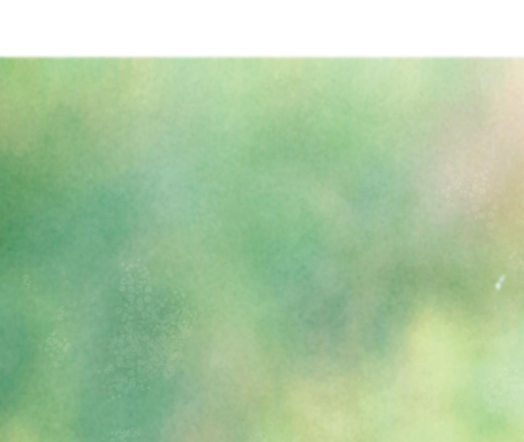 Dogalogue 2022-23 by guidedogssant - Issuu