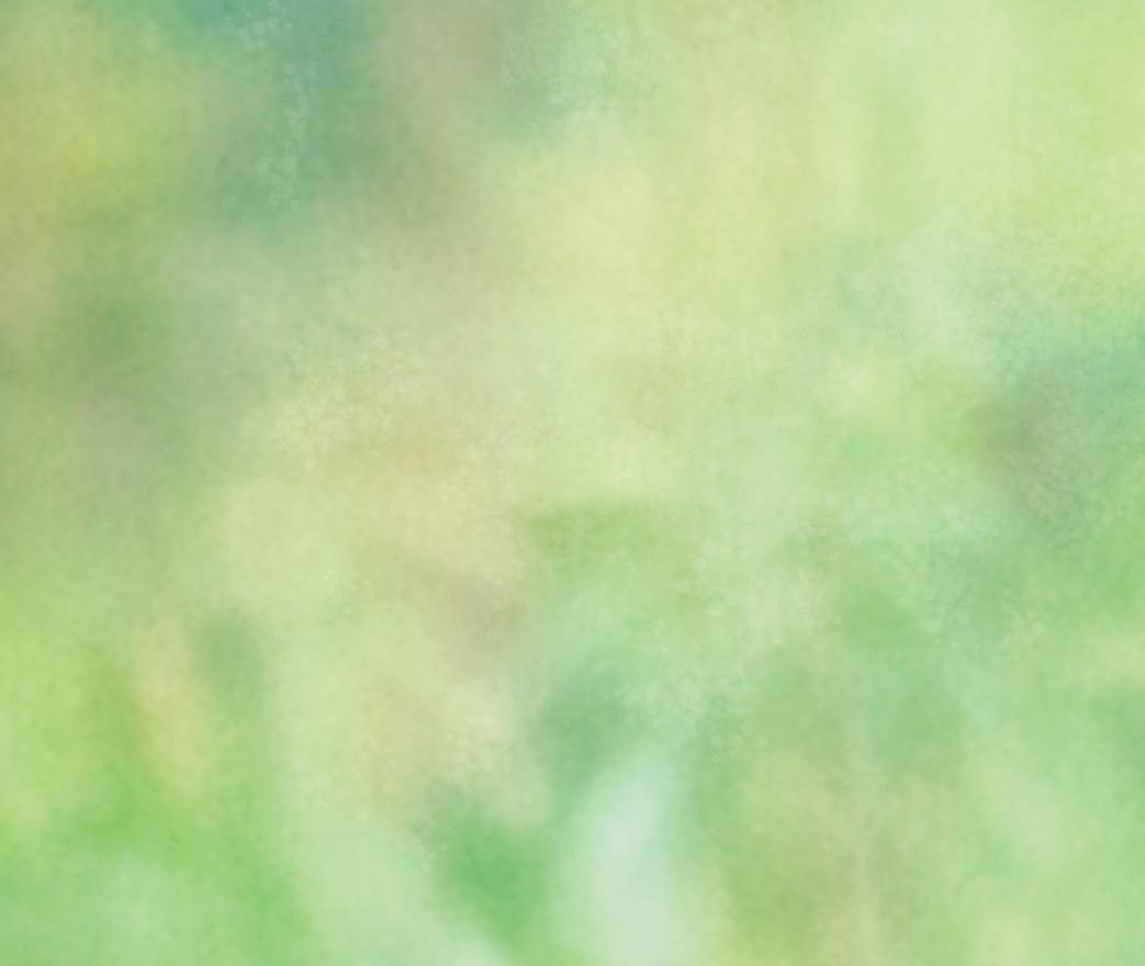 Dogalogue 2022-23 by guidedogssant - Issuu