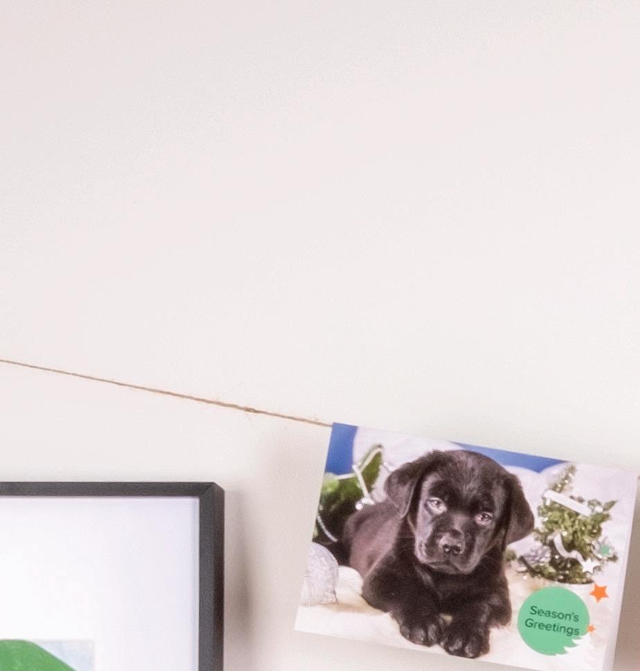 Dogalogue 2022-23 by guidedogssant - Issuu