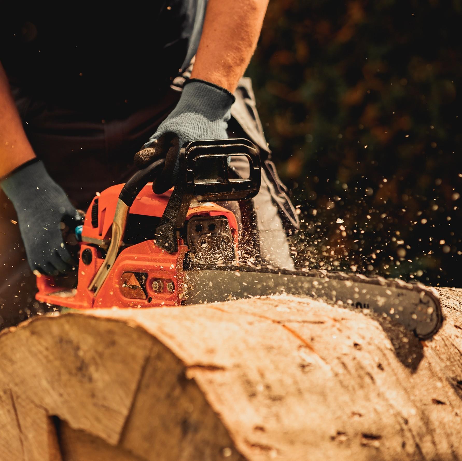 Introduction to Chainsaws and Their Types by chandakagro - Issuu