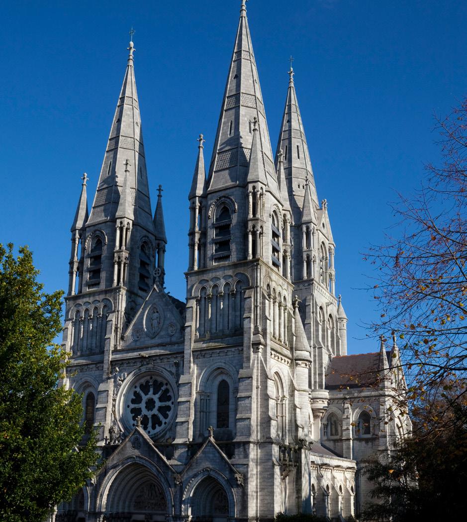 We Are UCC by discoverUCC - Issuu