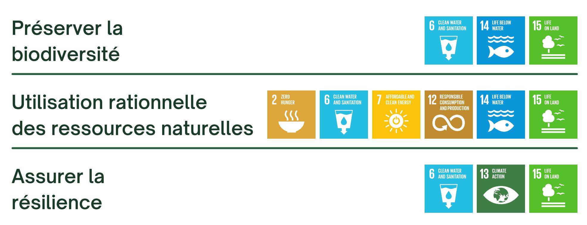 Recherche Master: Architecture et Pilier Environnemental by Elhaddad ...